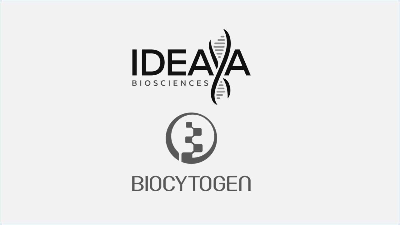 IDEAYA Biosciences Announces Option and License Agreement for Potential ...
