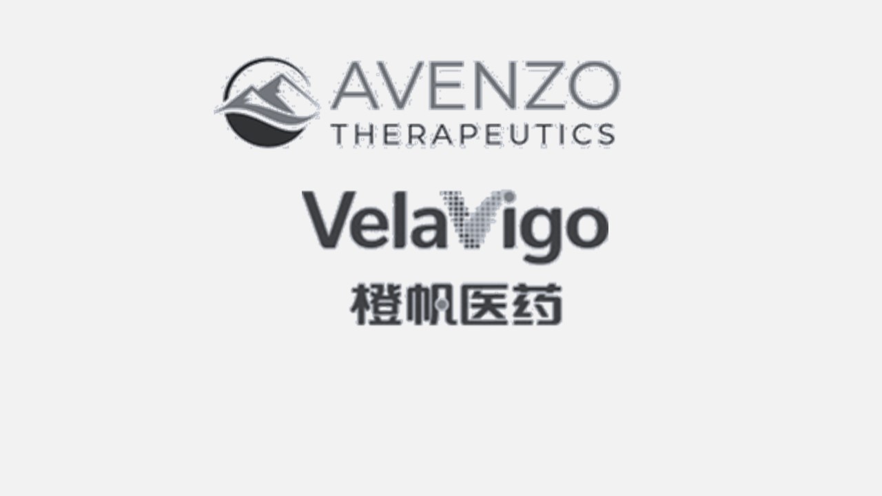 VelaVigo Announces Exclusive Option Agreement with Avenzo to License a ...